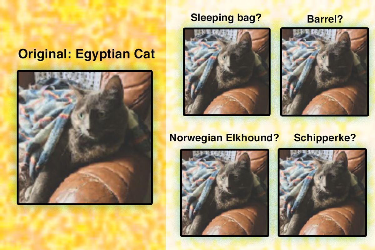 Neuroscientists find a way to make object-recognition models perform ...