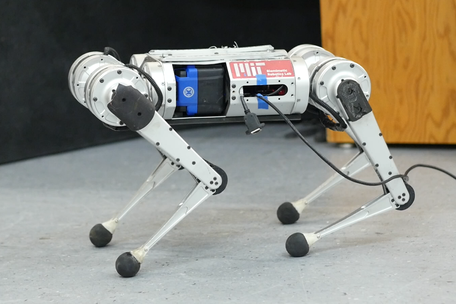 3 Questions: How the MIT mini cheetah learns to run - MIT Schwarzman ...