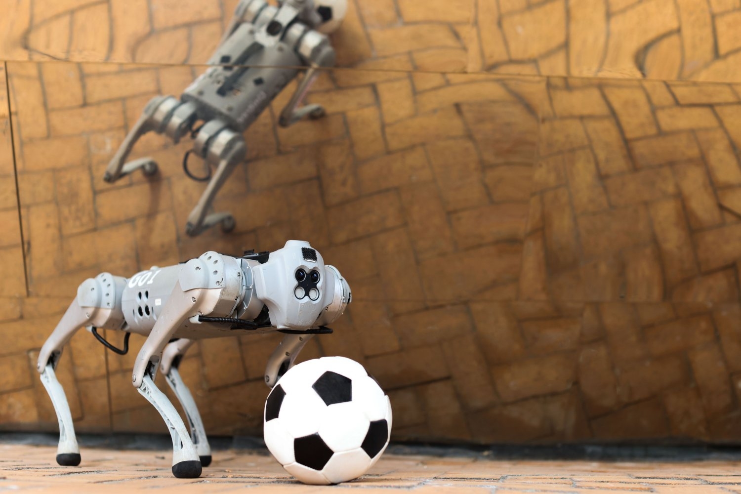 A four-legged robotic system for playing soccer on various terrains ...