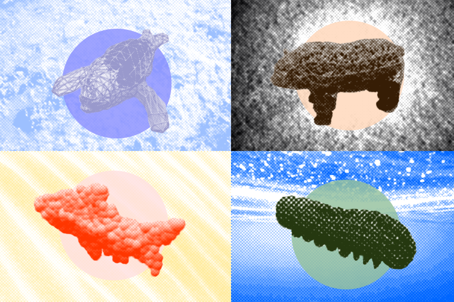 Open Source Platform Simulates Wildlife For Soft Robotics Designers Mit Schwarzman College Of